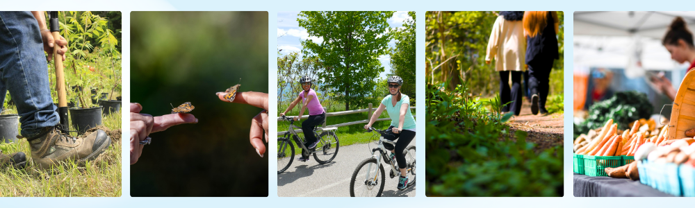 Measuring Sustainability Report | Let's Talk Pickering