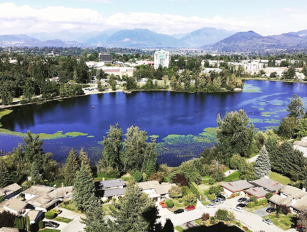 New: Mill Lake Park Draft Master Plan | Mill Lake Park Master Plan ...