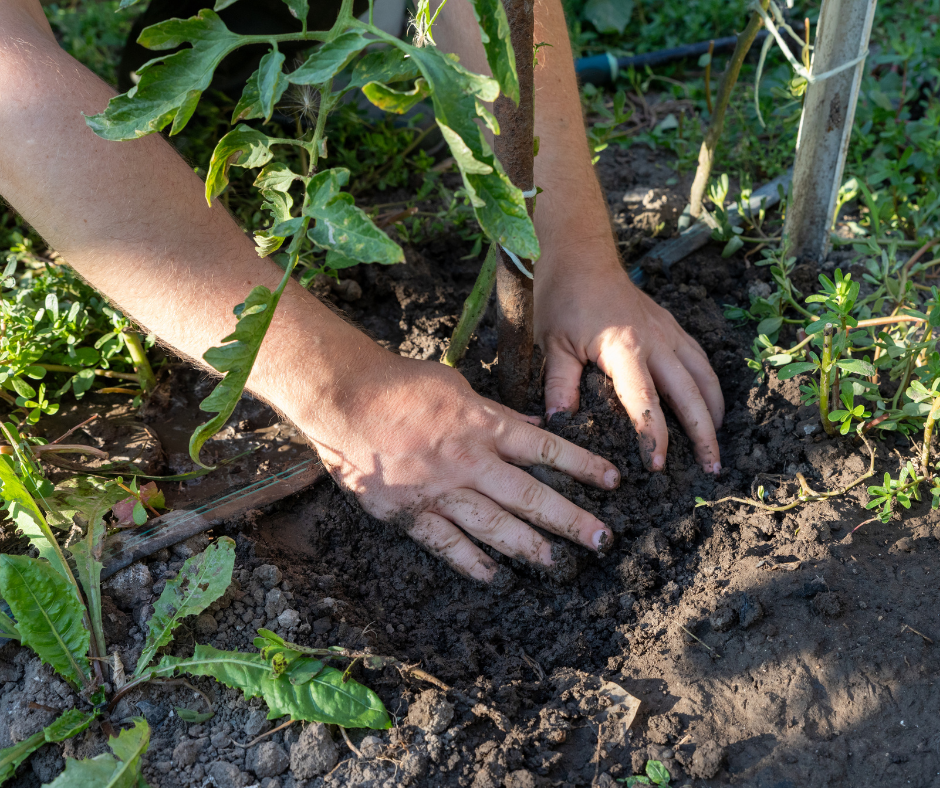 Durham Community Climate Adaptation Plan | Your Durham