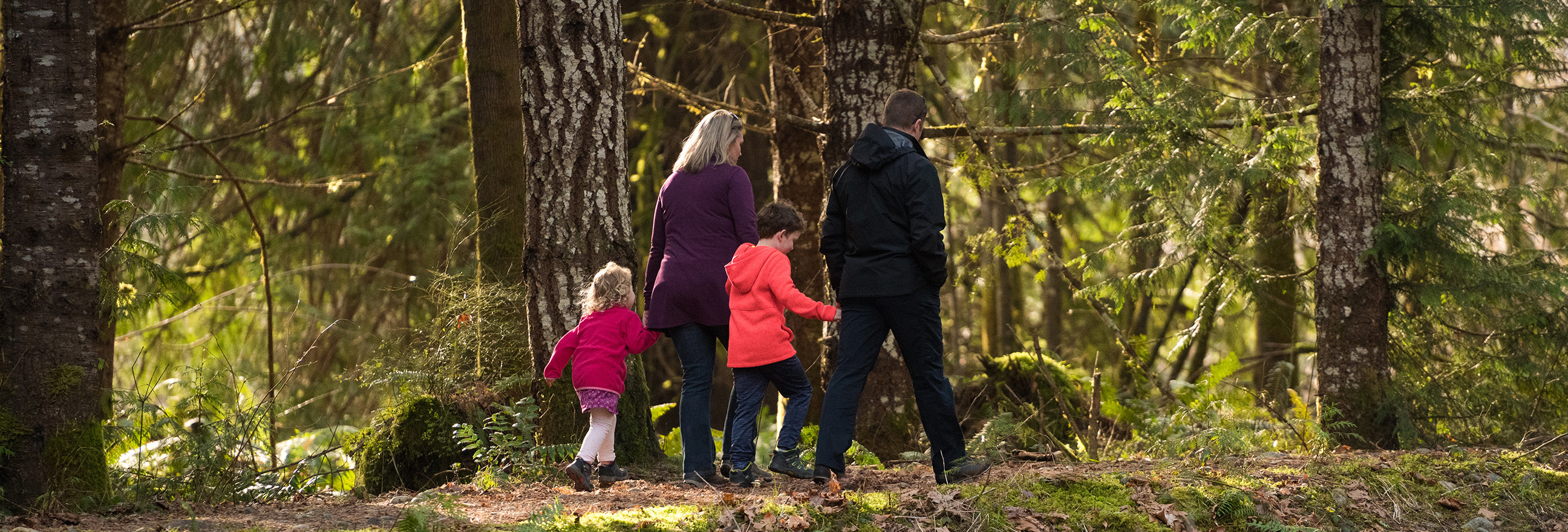 Draft Strategy now complete | RDN Parks & Trails Strategy | Get ...