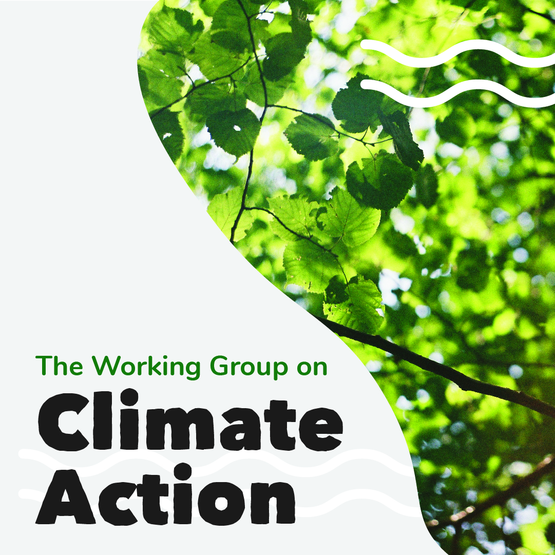 Share your ideas! | Working Group on Climate Action | Get Involved ...