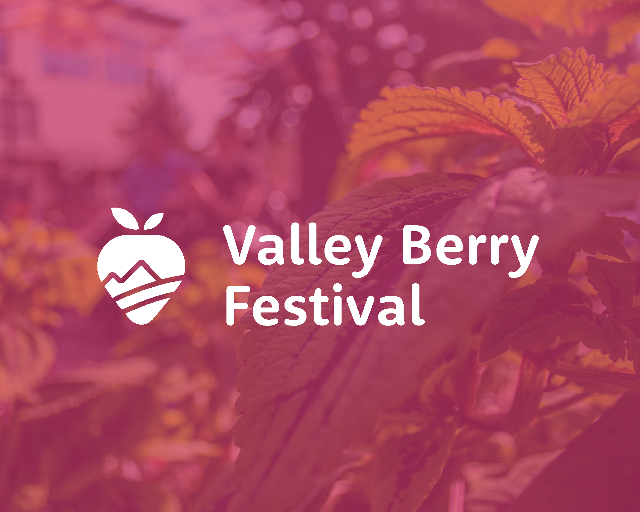 Valley Berry Festival | CityStudio Virtual Hubbub #11 - Winter 2023 ...