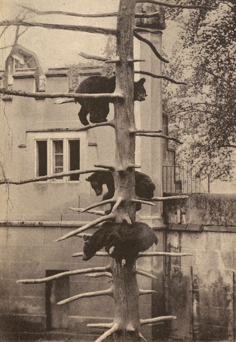 Historical pictures of old zoos from the last centuries - Espresso Mag