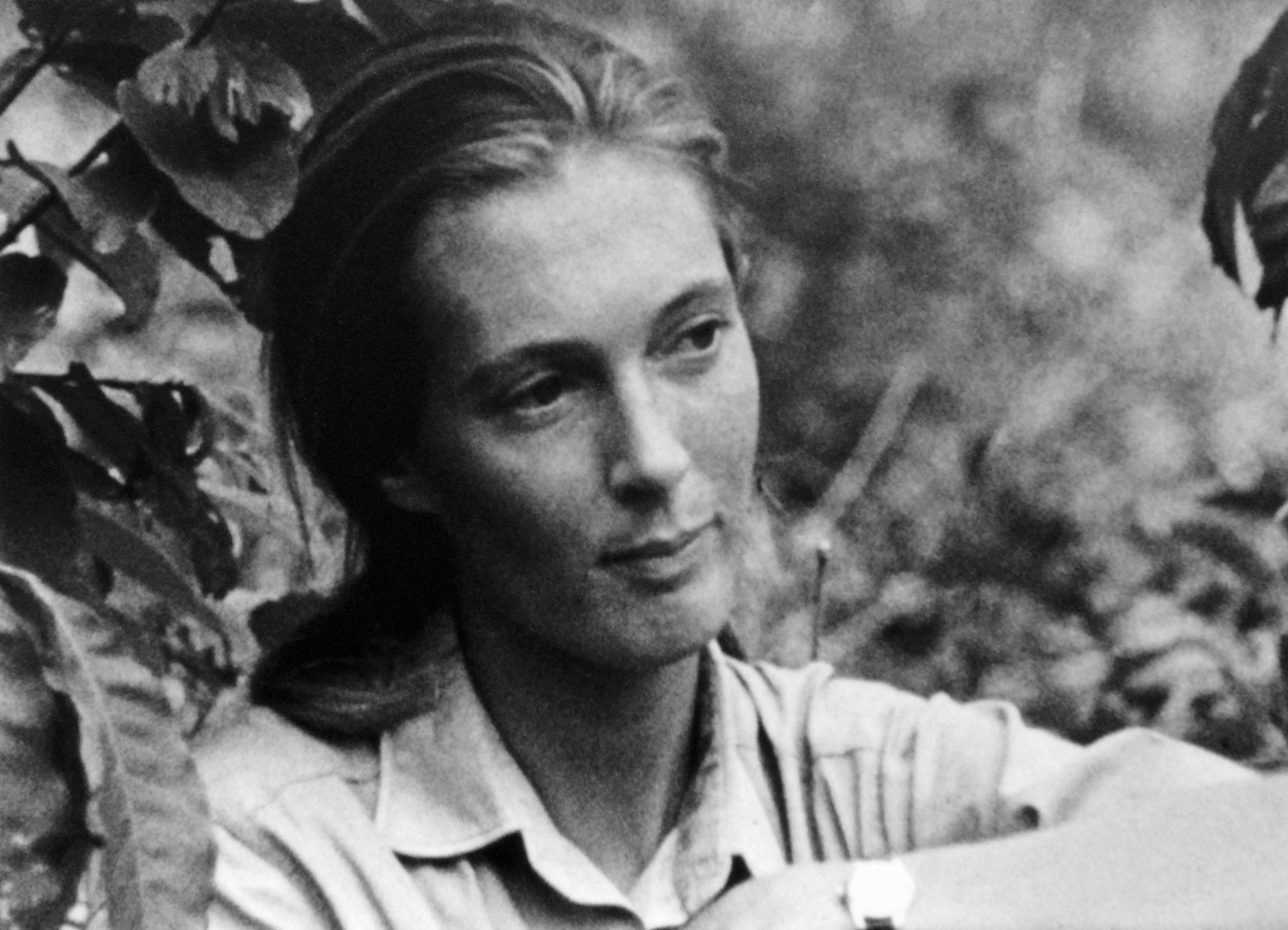 Jane Goodall, a Life in Service of Chimpanzees and Nature - Espresso Mag