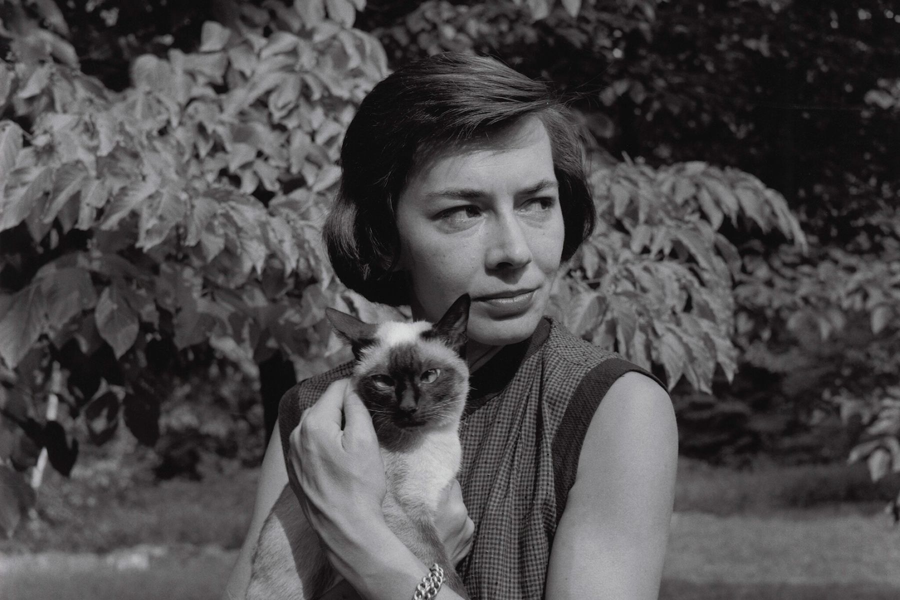 10 famous writers’ cats - Espresso Mag