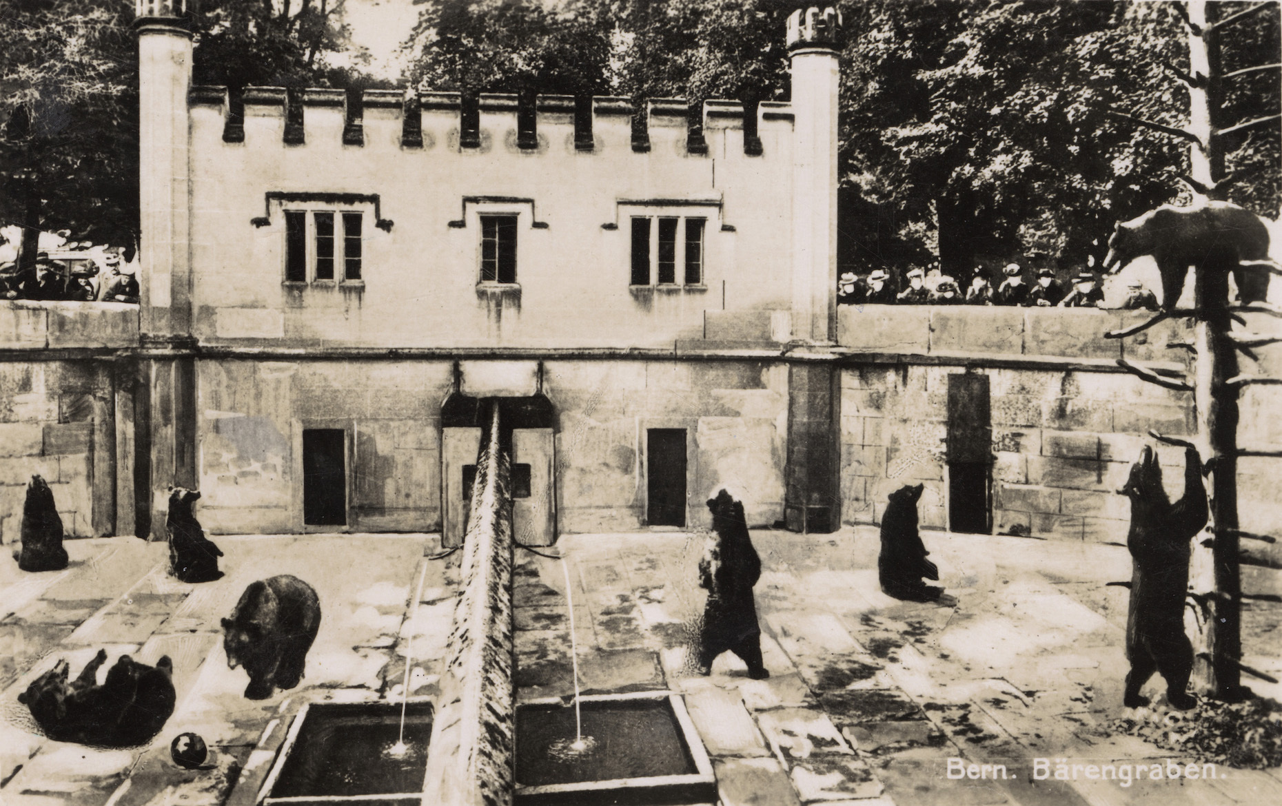 Historical pictures of old zoos from the last centuries - Espresso Mag