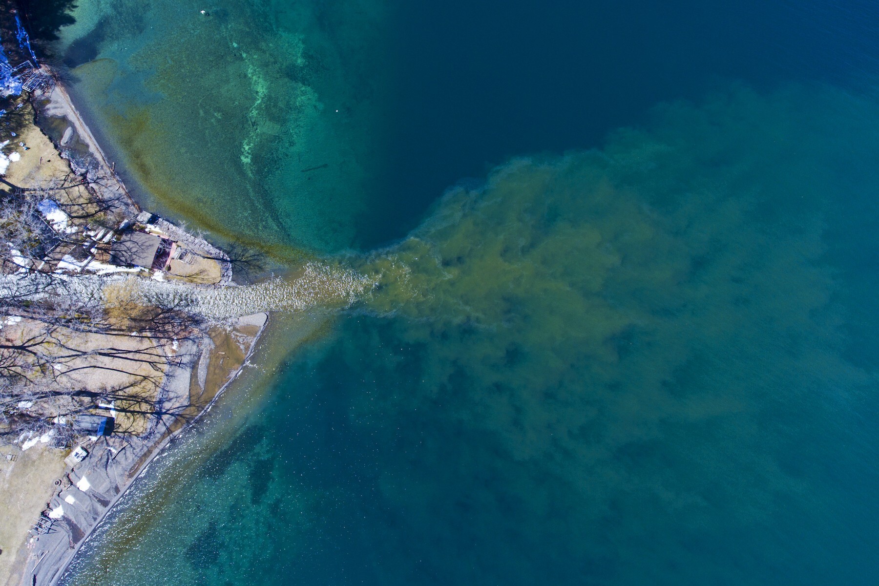 The struggle for survival: 20 images illustrating marine conservation ...