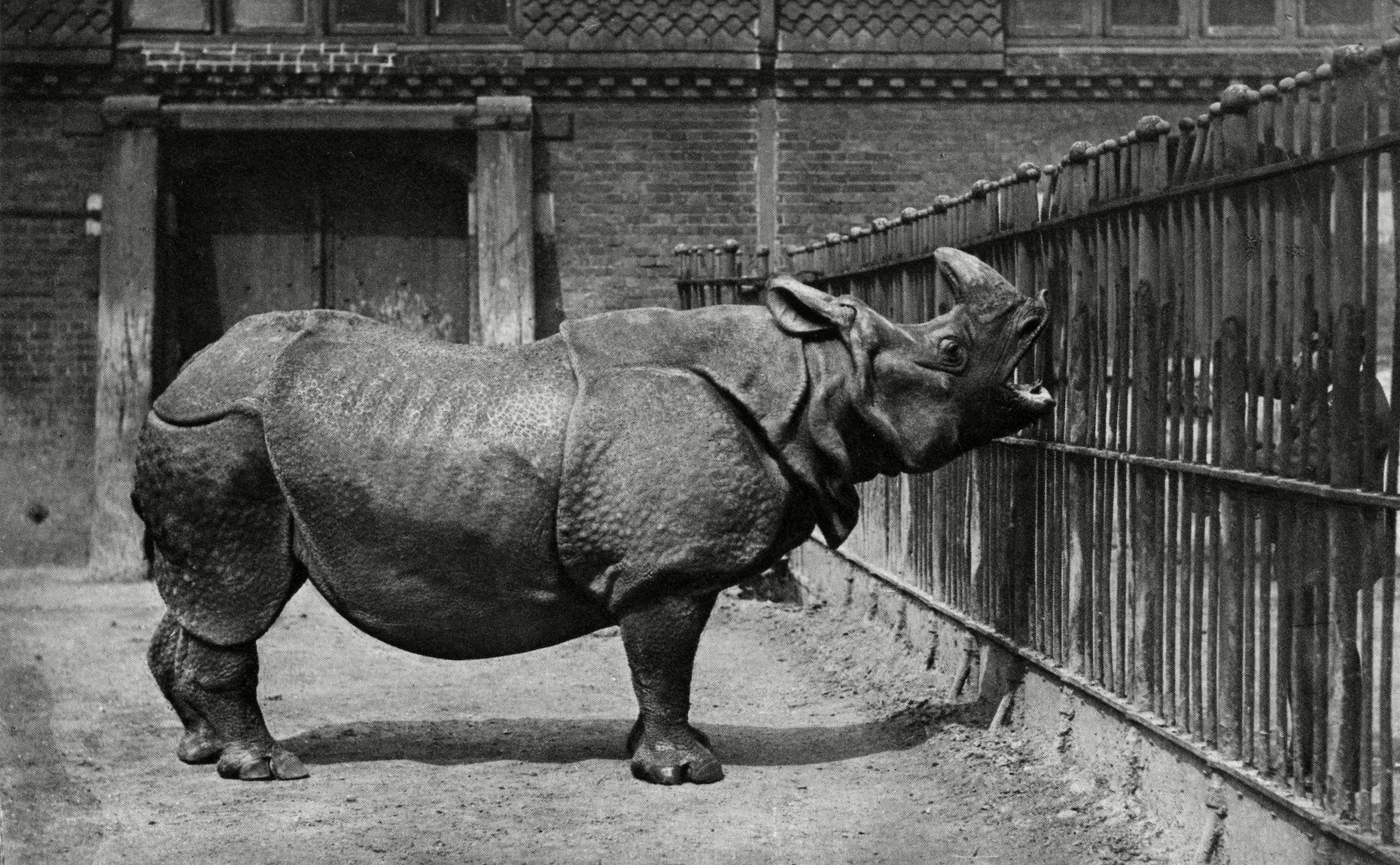 Historical pictures of old zoos from the last centuries - Espresso Mag