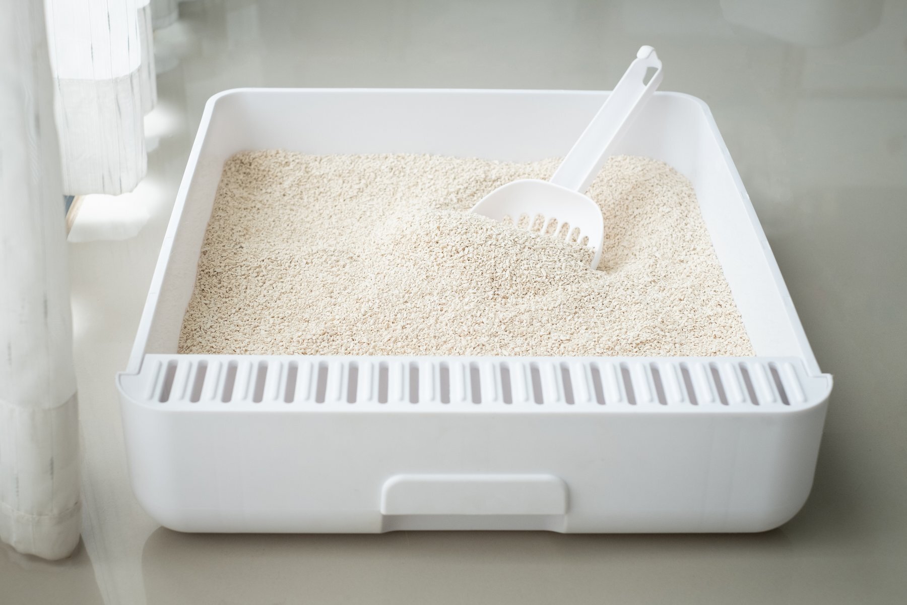 10 alternatives for clay cat litter that work - Espresso Mag