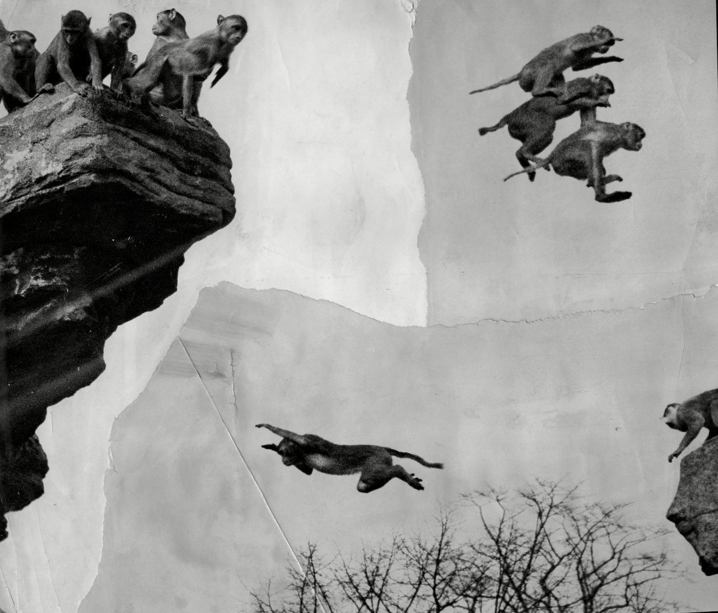 Historical pictures of old zoos from the last centuries - Espresso Mag