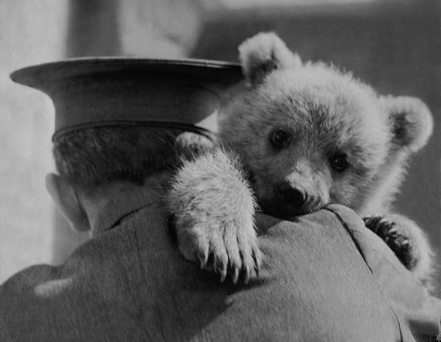 Historical pictures of old zoos from the last centuries - Espresso Mag