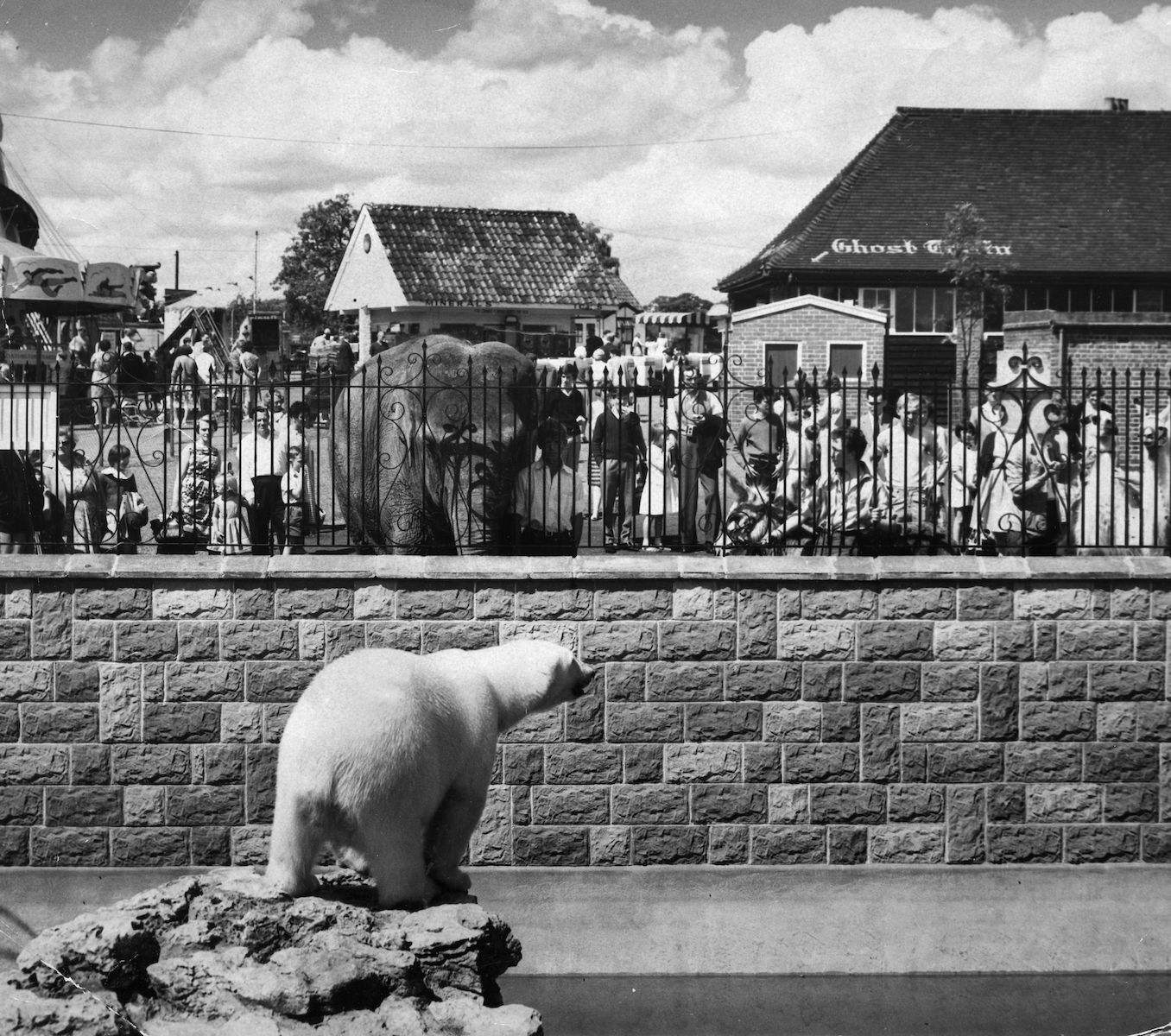 Historical pictures of old zoos from the last centuries - Espresso Mag