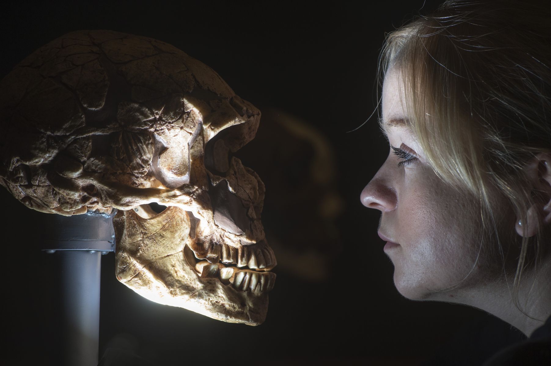 Les découvertes archéologiques les plus bizarres - Espresso Mag