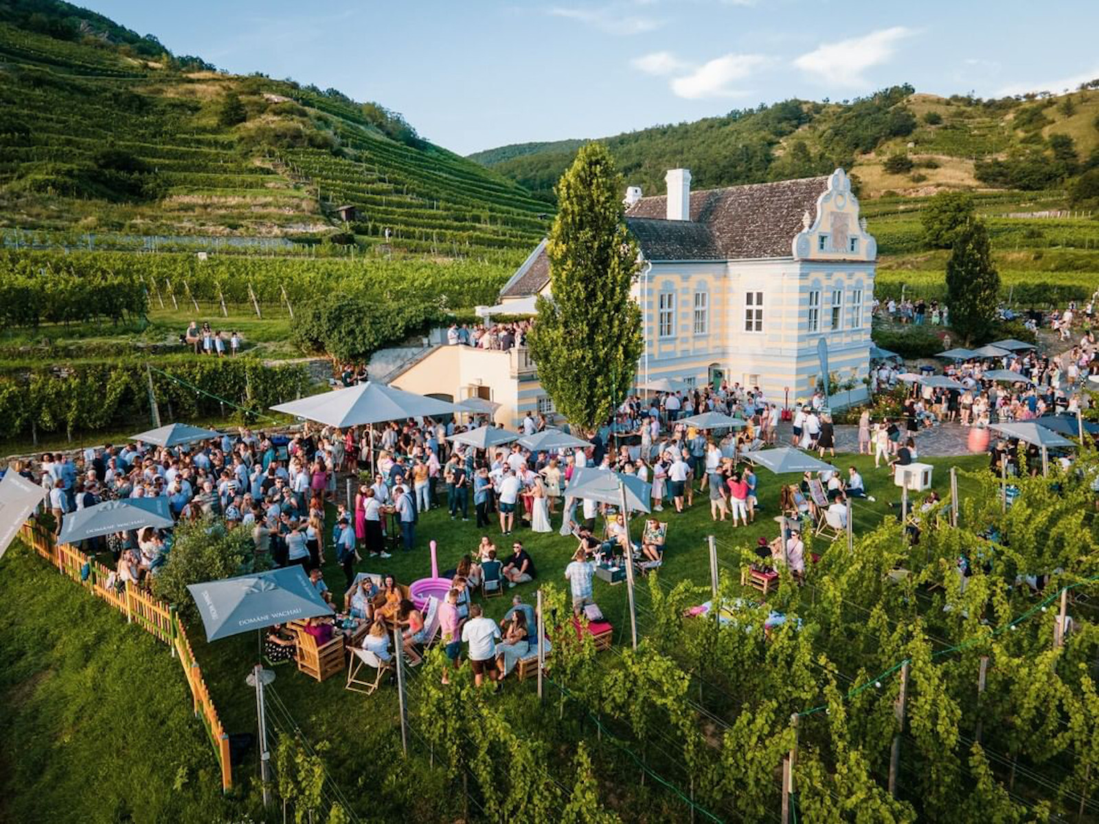 The most beautiful vineyards in the world - Espresso Mag