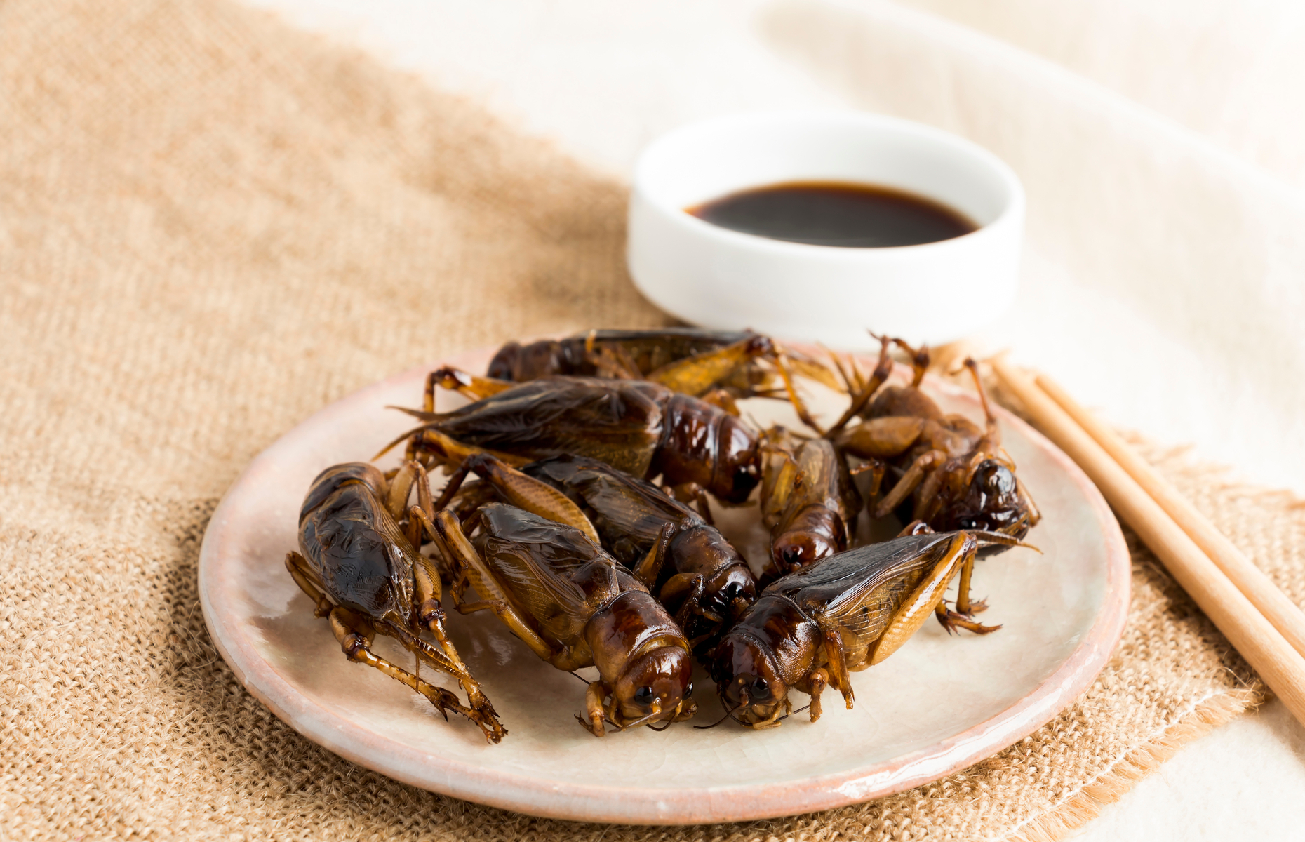 50 gut-friendly foods you should be eating - Espresso Mag