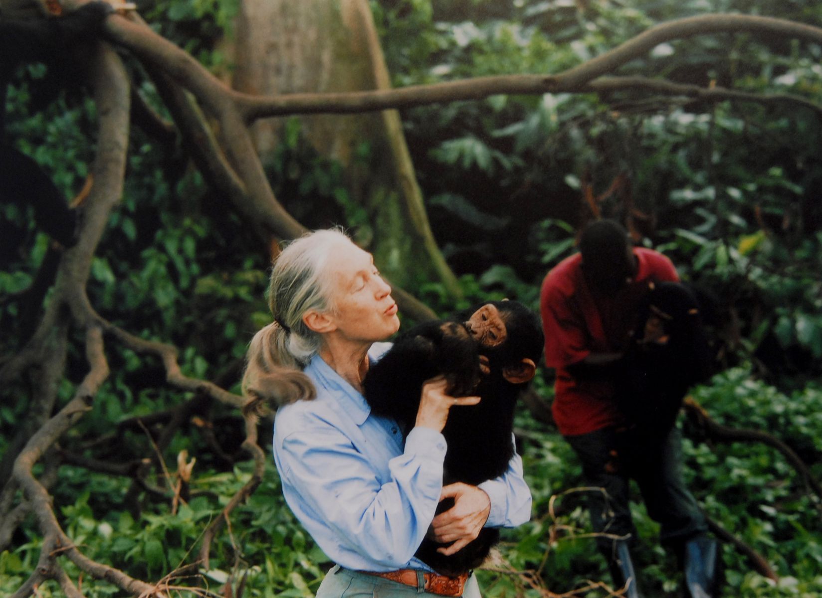 Jane Goodall, a Life in Service of Chimpanzees and Nature - Espresso Mag