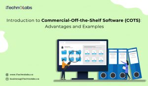 What is COTS Software (Commercial-Off-the-Shelf Software) Examples