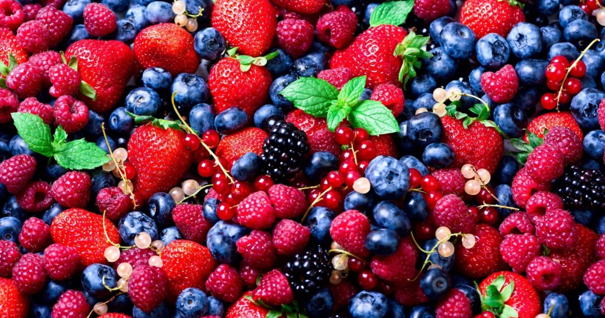 Découvrez 4 produits bios d'ici aux petits fruits! | QuébecBio