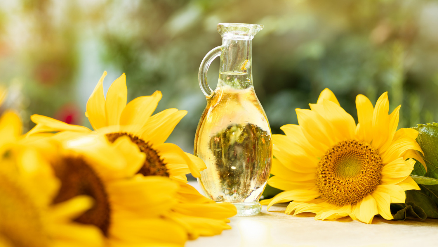 Les huiles biologiques du Québec : des indispensables en… | QuébecBio