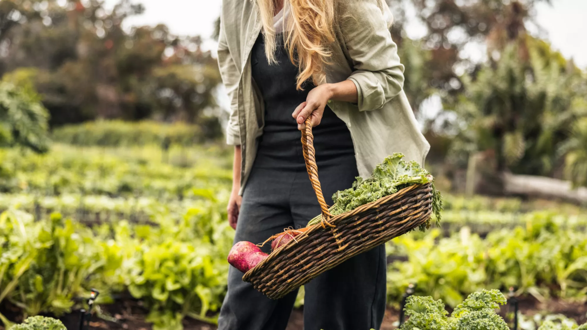 3 bénéfices écologiques d’une alimentation biologique | QuébecBio