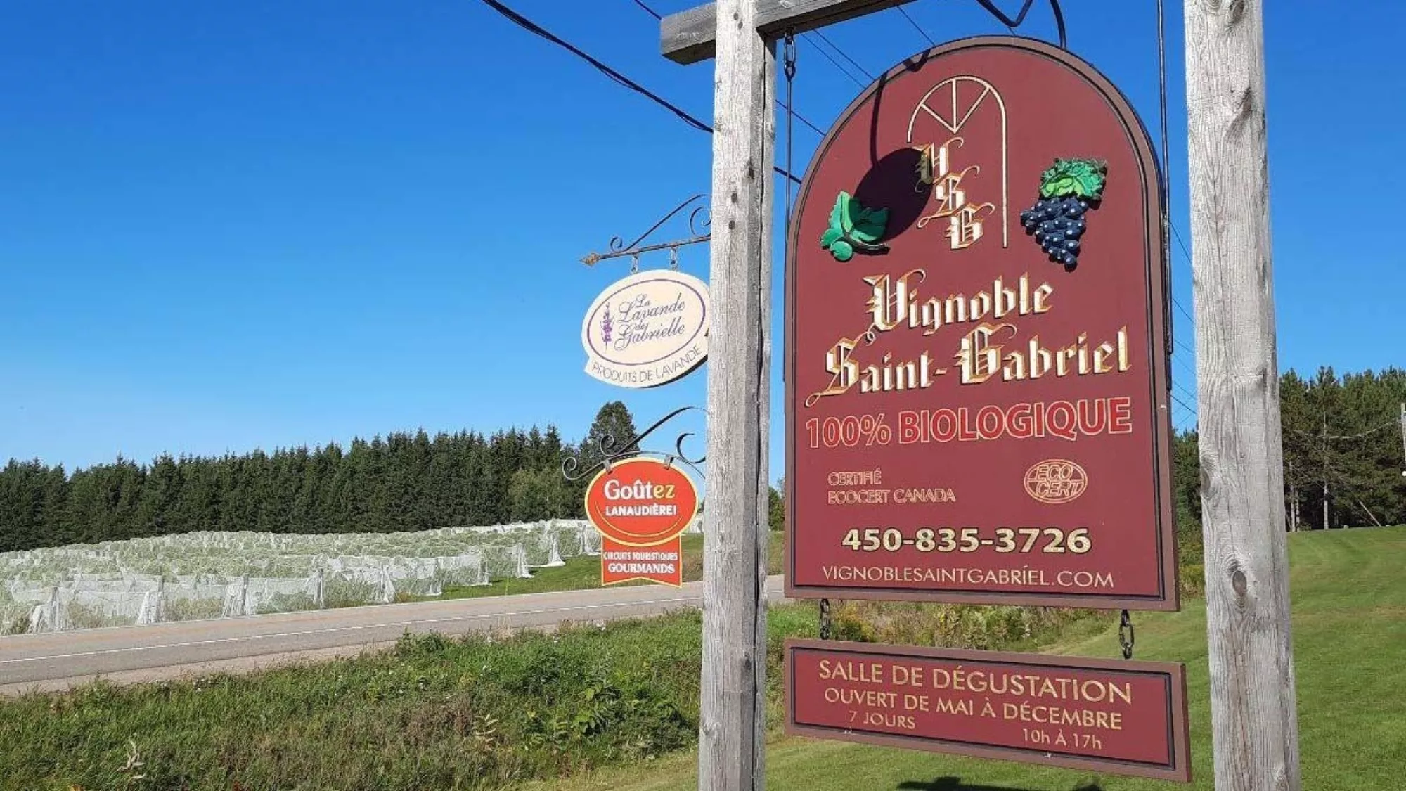 Visitez nos vignobles en mode bio! | QuébecBio