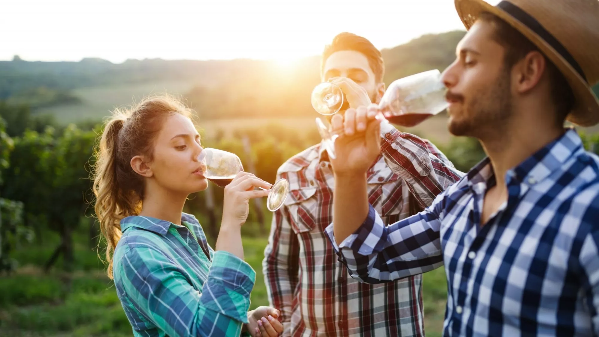 10 endroits pour trinquer en mode bio d’ici | QuébecBio