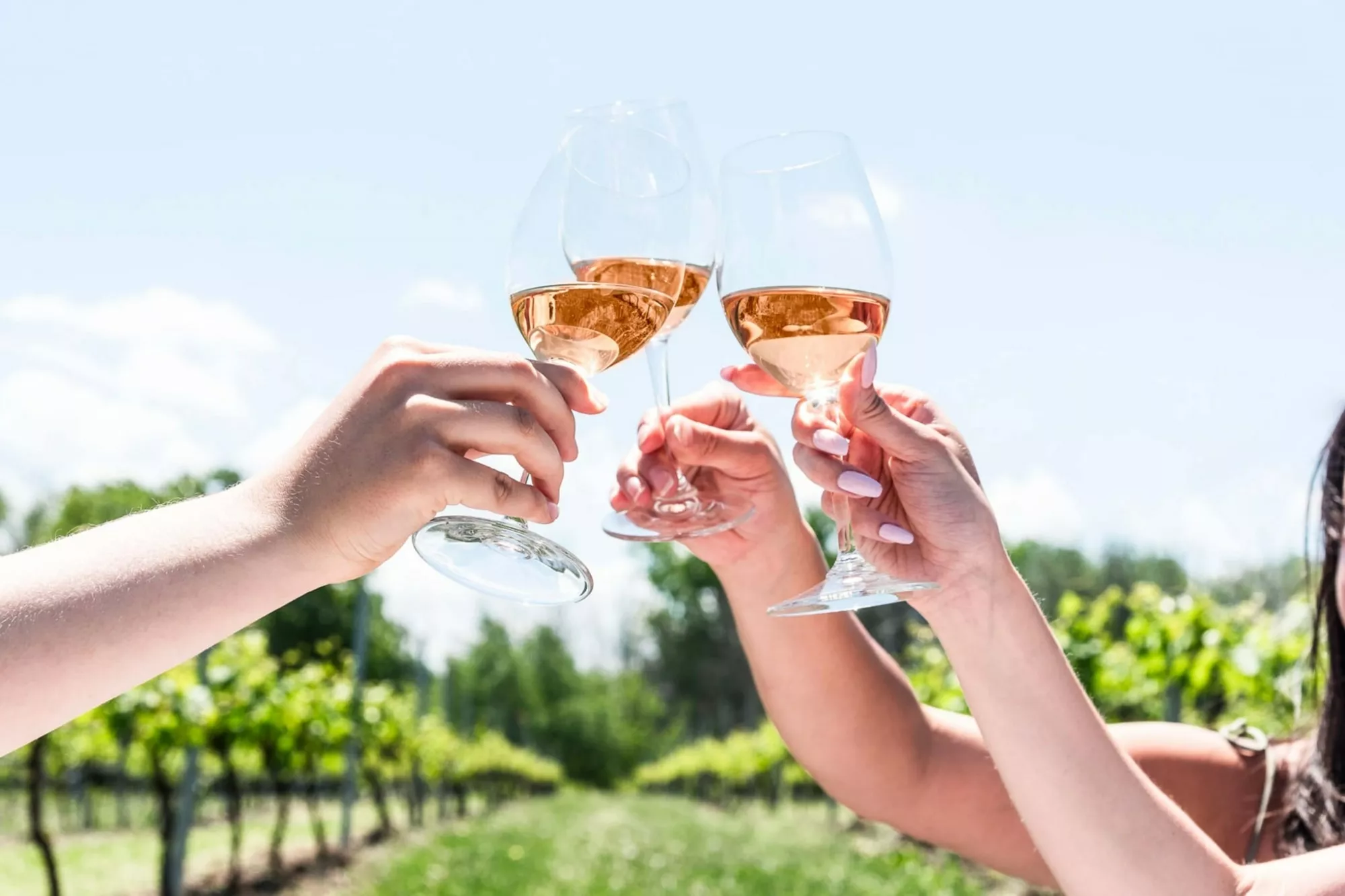 10 endroits pour trinquer en mode bio d’ici | QuébecBio
