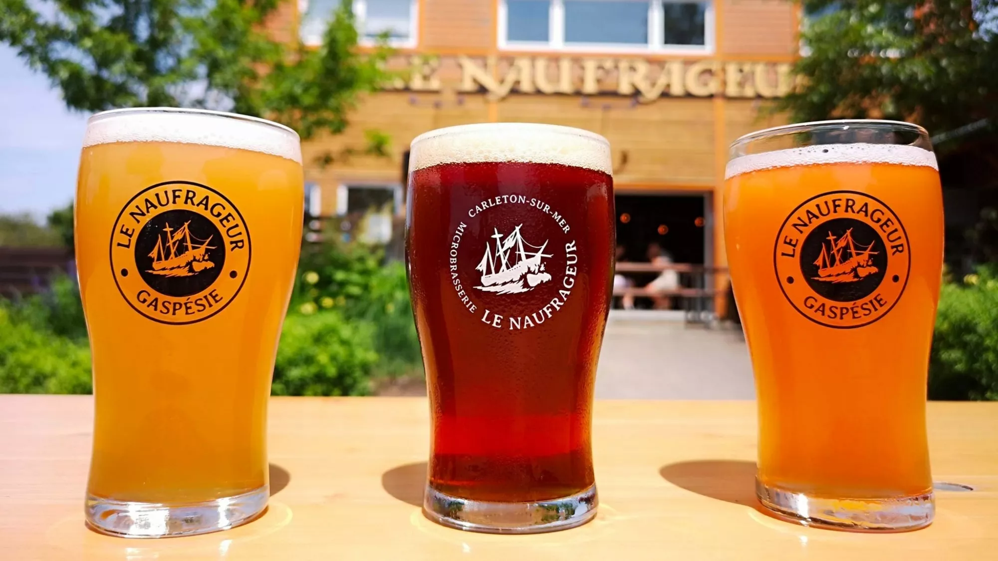 10 endroits pour trinquer en mode bio d’ici | QuébecBio