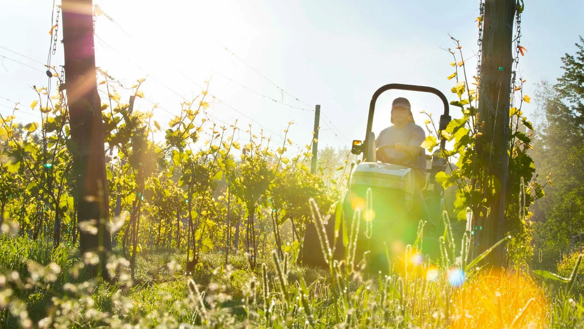 10 endroits pour trinquer en mode bio d’ici | QuébecBio