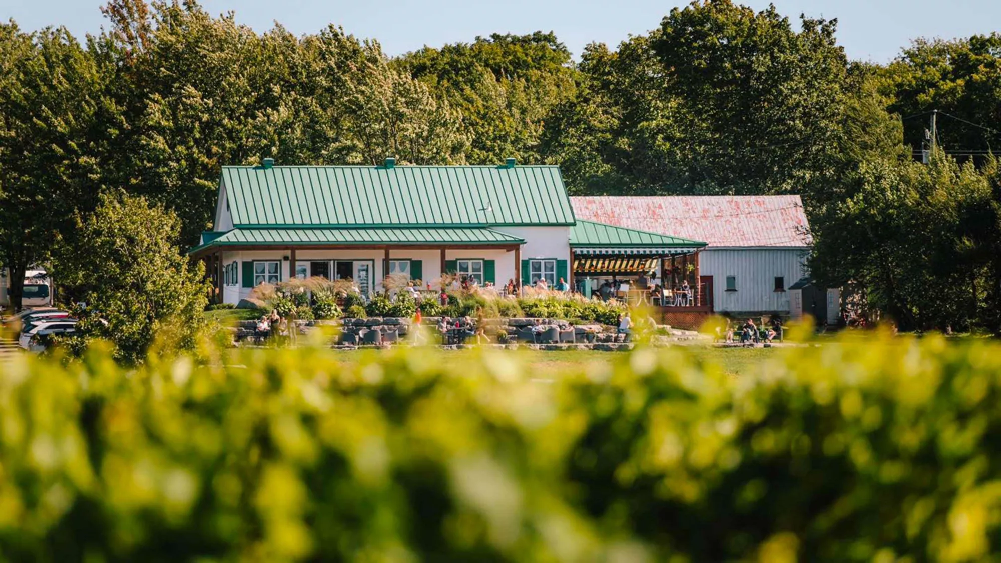 10 endroits pour trinquer en mode bio d’ici | QuébecBio