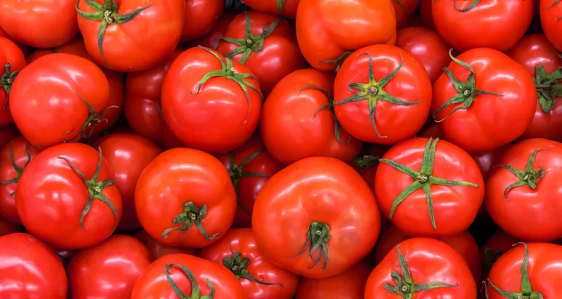 Alimentation biologique au Québec, production et produits | QuébecBio