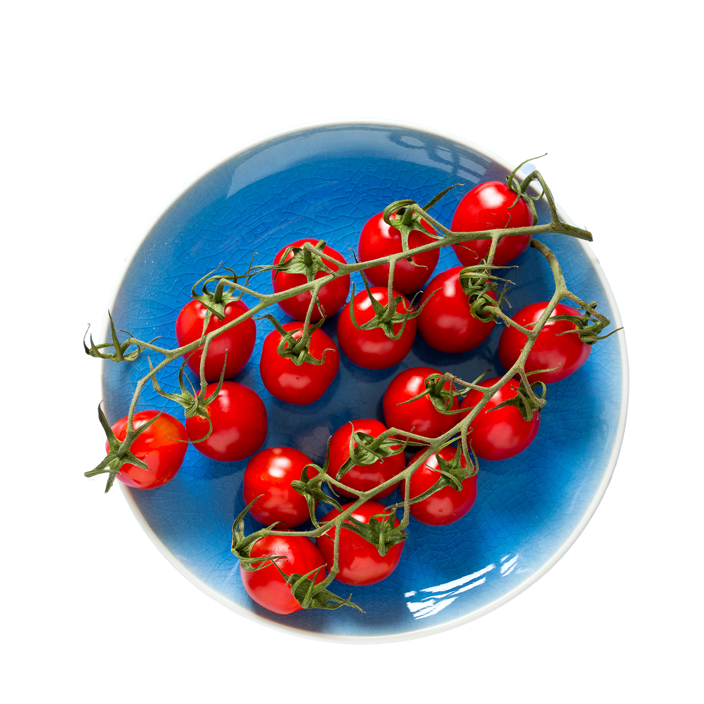 Les produits et aliments biologiques du Québec | QuébecBio