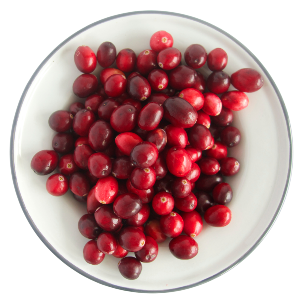 La canneberge biologique | QuébecBio