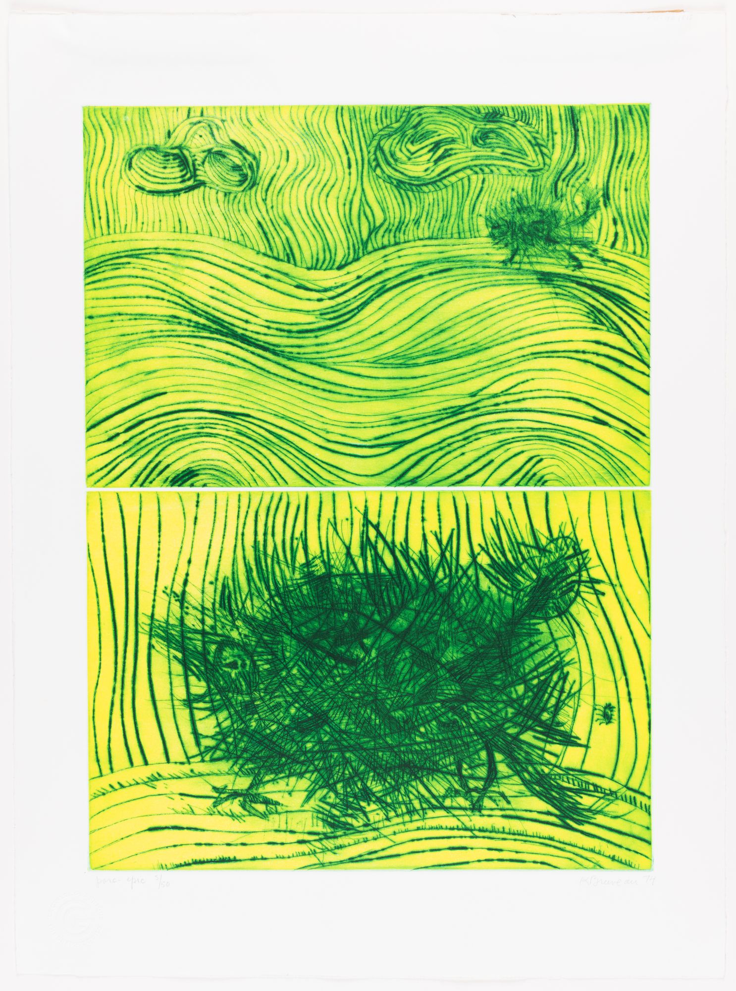 Les Fougères, du livre d'artiste «Ah ! Ouiche-t'en plain !» | Musée ...