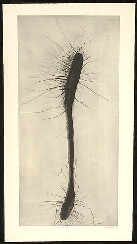 Synapsis | Musée national des beaux-arts du Québec - MNBAQ