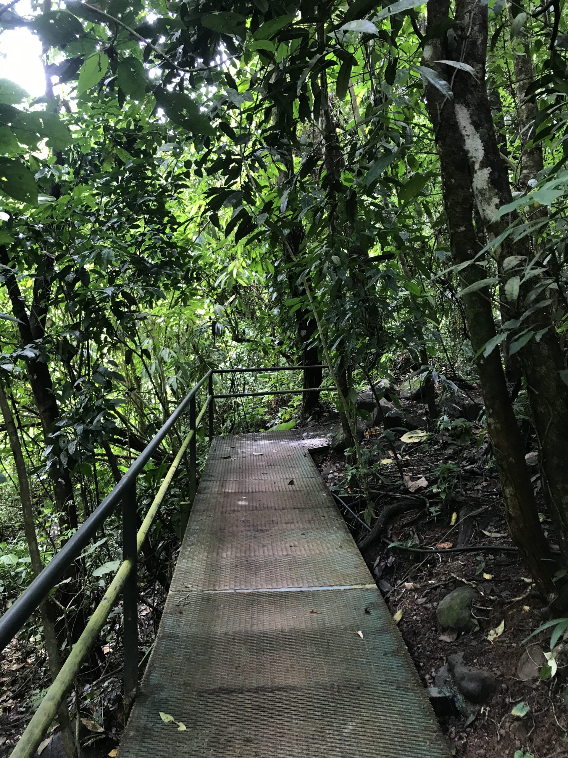 The Ultimate Guide to the Uvita Waterfall