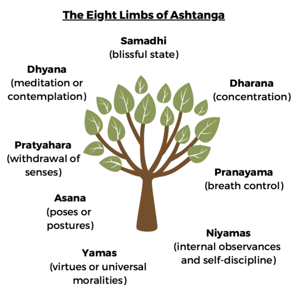 Introduction to the 8 Limbs of Yoga: What are Each of Them?