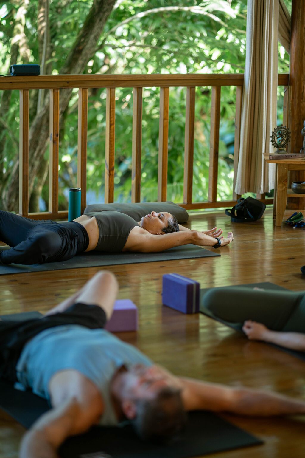 Introduction to the 8 Limbs of Yoga: What are Each of Them?