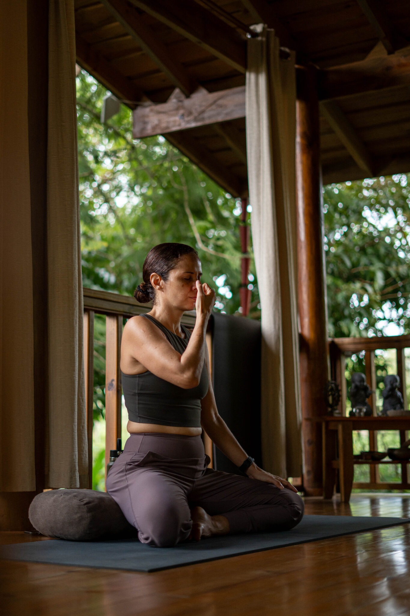 Pratyahara —Withdrawl of the Senses