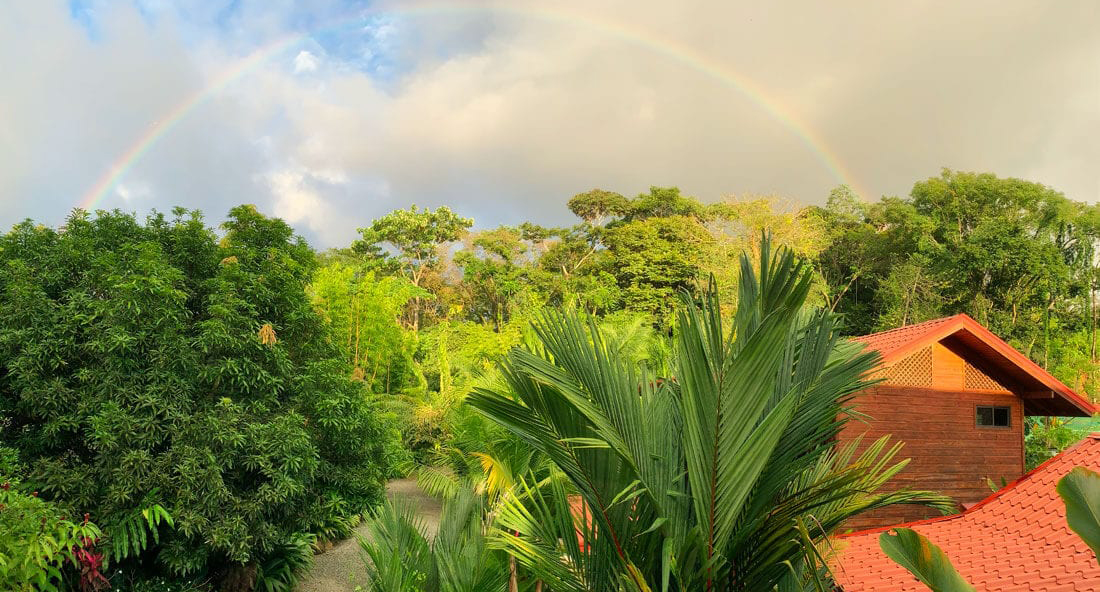 Everything You Need to Know About Costa Rica in the Rainy Season