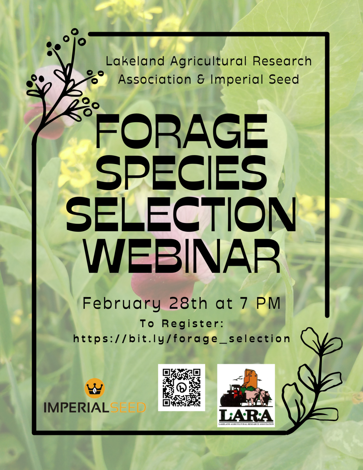 Forage Species Selection Webinar - LARA | Lakeland Agricultural ...