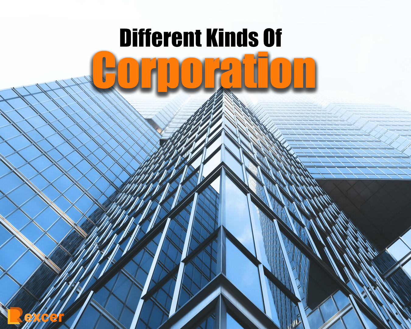Different Kinds Of Corporation Different Kinds Of Corporation