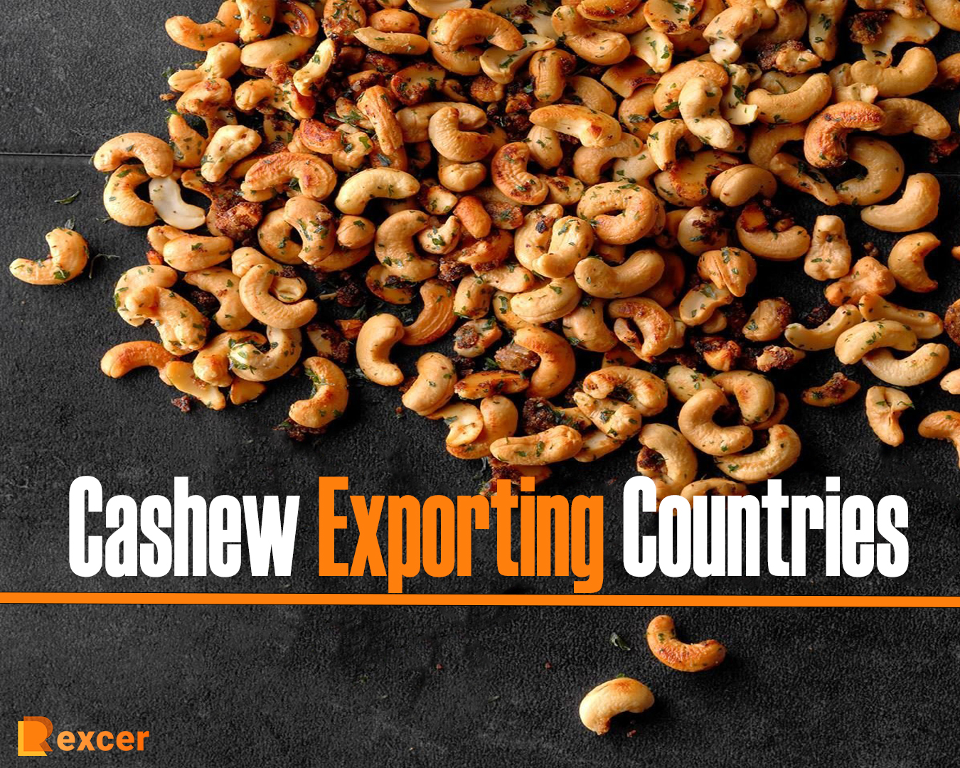 Cashew Exporting Countries, 5 Countries You Should Know About