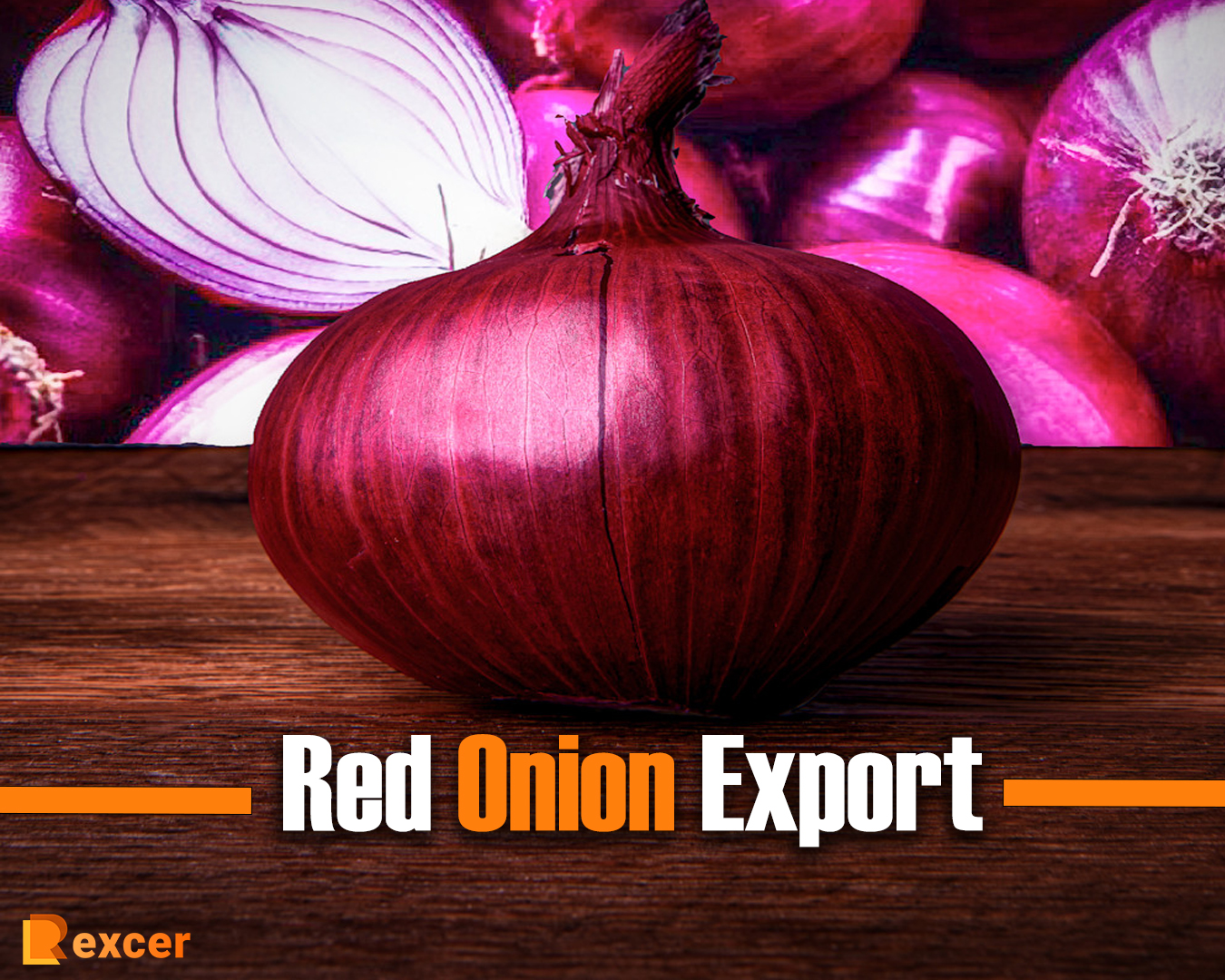Red Onion Export, A Guide for Beginners