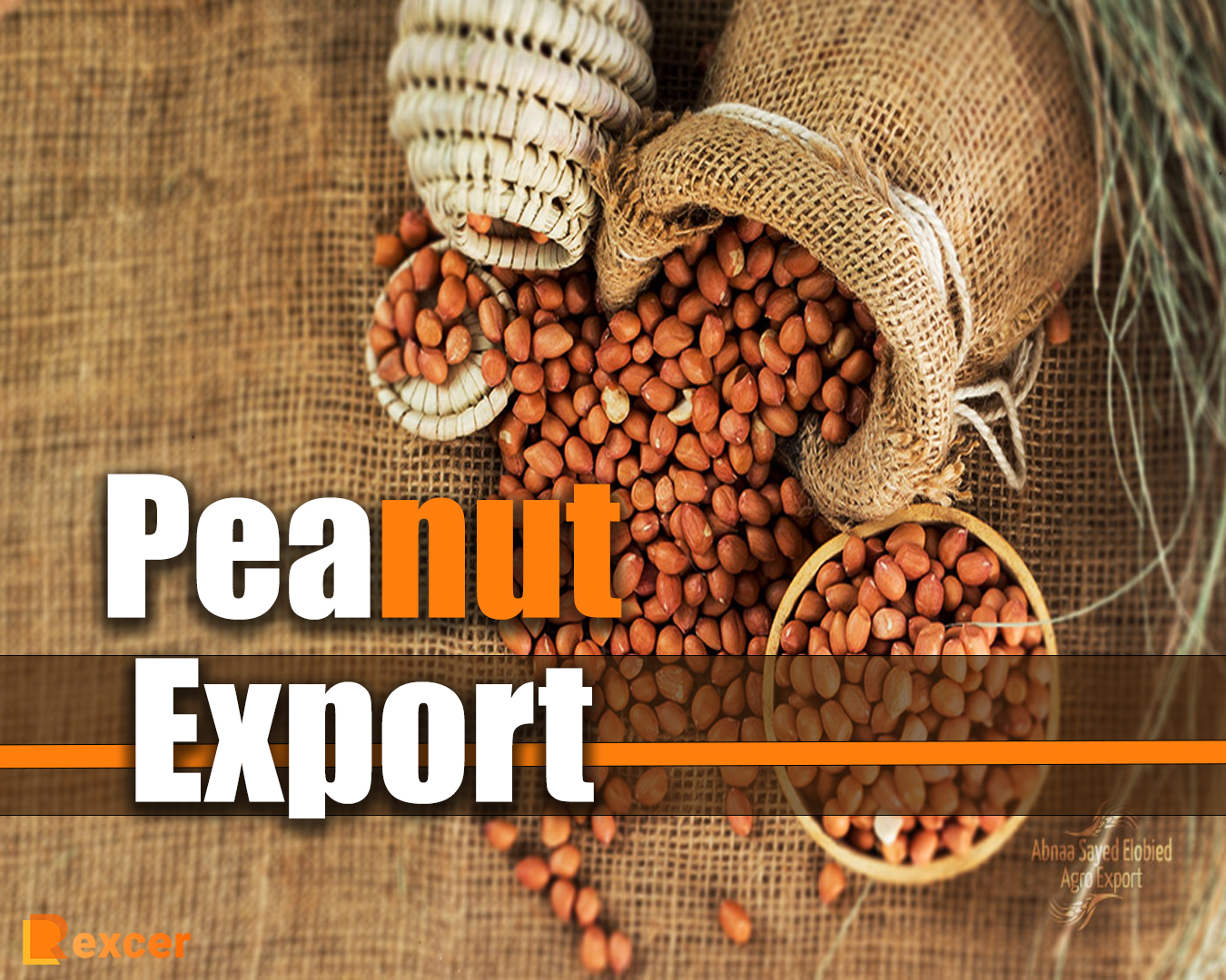 Peanut Export, A Guide for Beginners