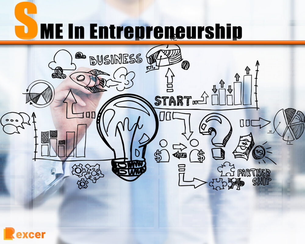 What Is SME In Entrepreneurship, 7 Reasons Why It's Important