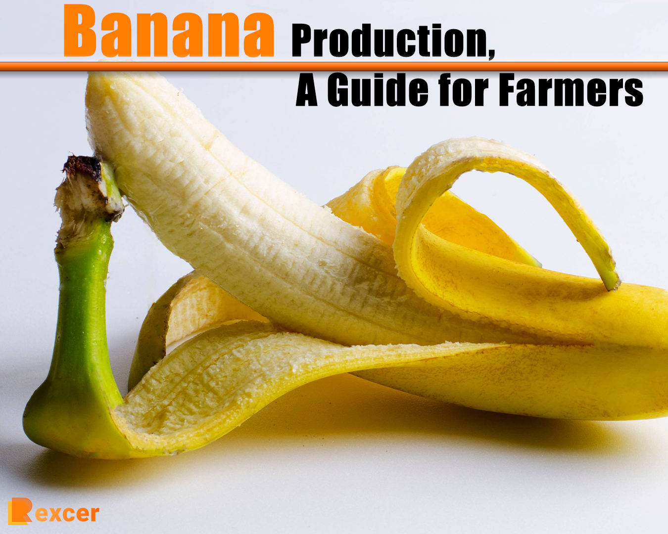Banana Production, A Guide for Farmers, 6 Tips