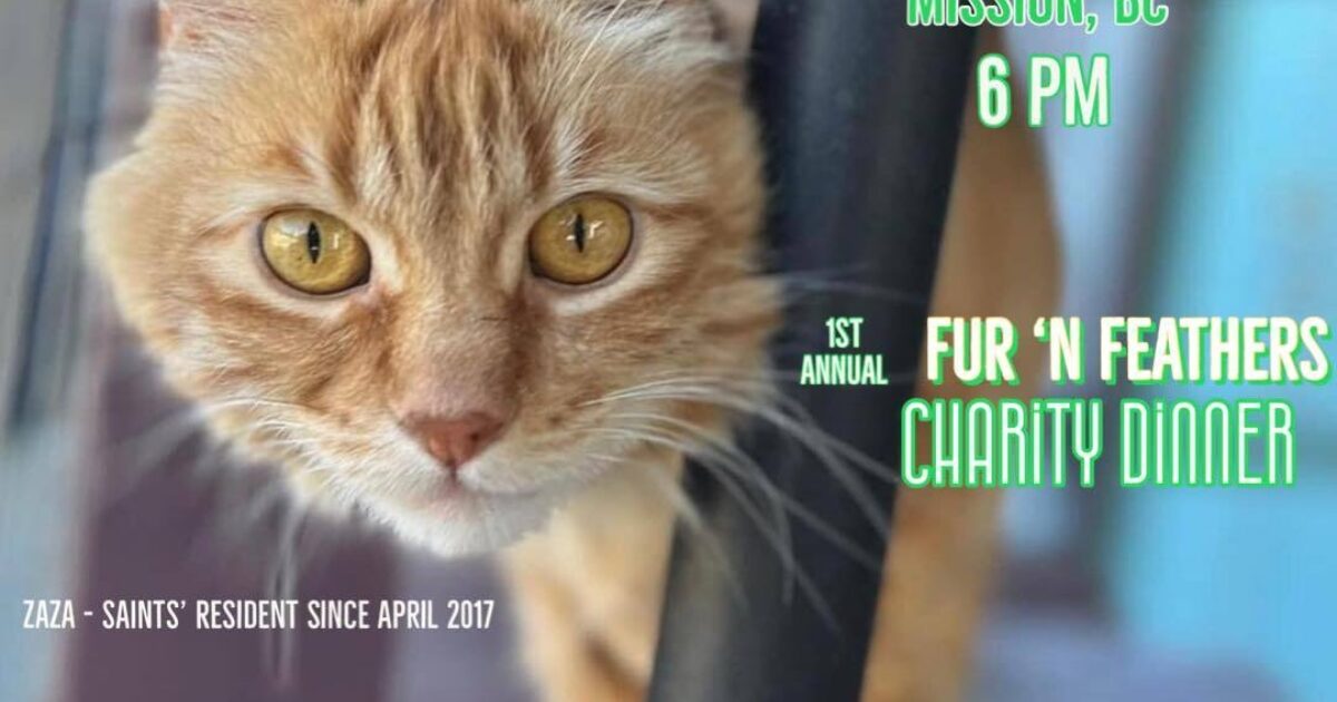 Fur ‘N Feathers Animal Card Sponsors - SAINTS Rescue