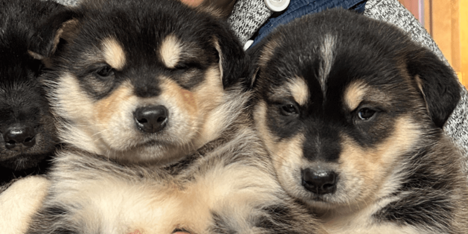 VWB makes first visit to Alaska